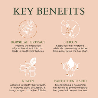Healthy Hair Formula – Noor Hair
